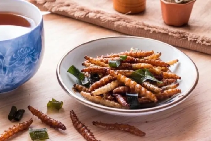 Insekten essen: eine wertvolle Proteinquelle | Panasonic Experience Fresh