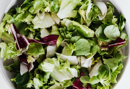 Beliebte Blattsalate: Wie gesund sind sie wirklich? | Panasonic ...
