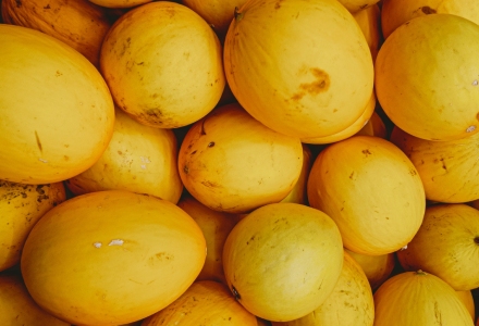 Melonen: Mehr als nur ein erfrischender Sommersnack | Panasonic ...