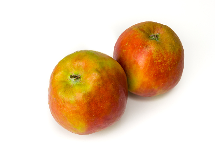 Apfelsorten: regional, gesund und vielseitig | Panasonic Experience Fresh