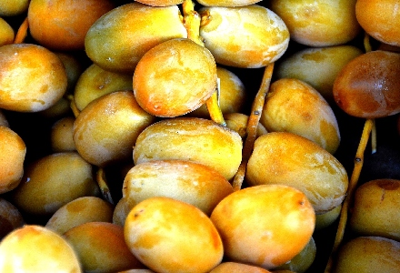 Datteln: Das unterschätzte Superfood | Panasonic Experience Fresh